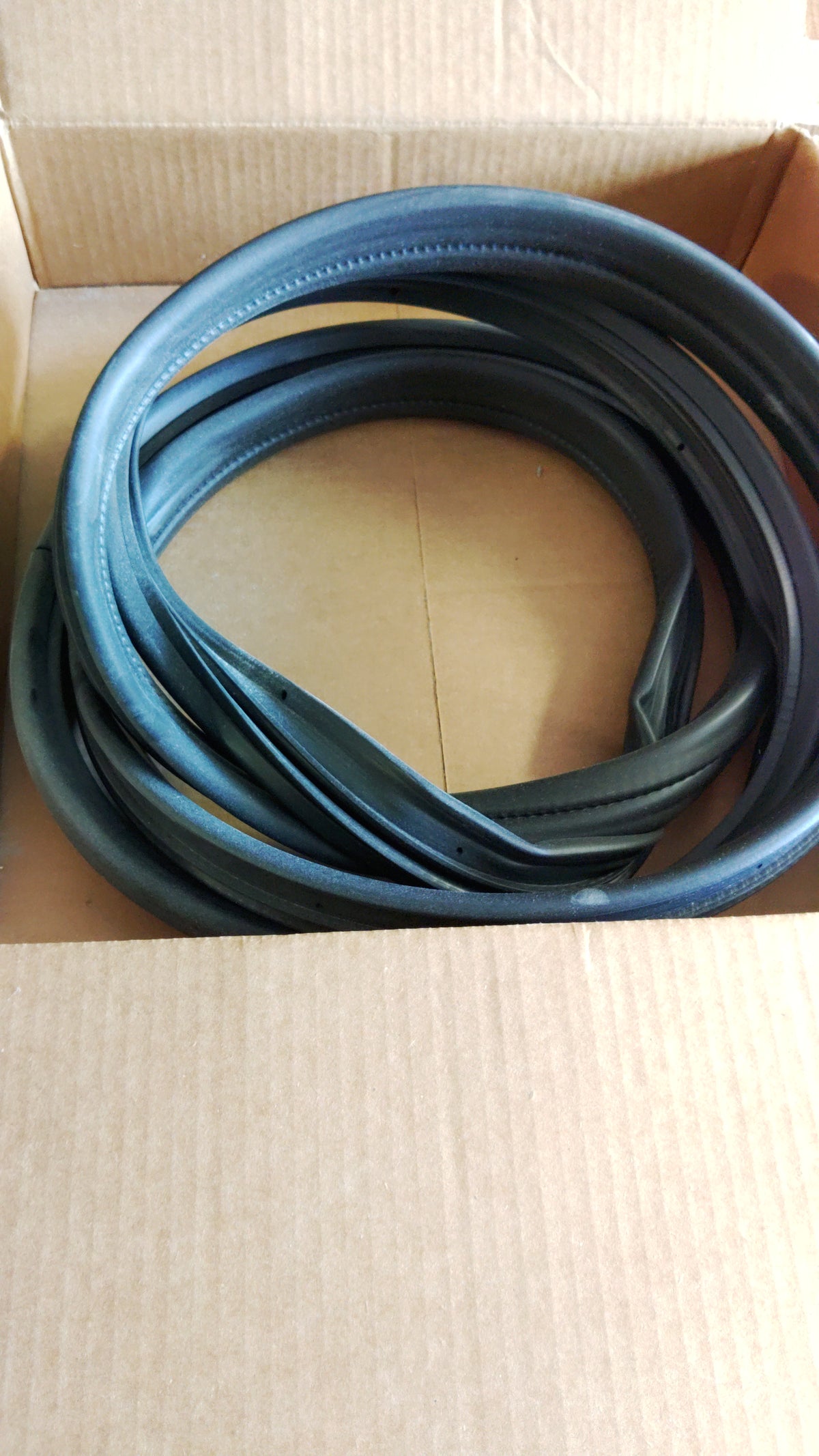 International cab door weatherstrip 3508972C6 new OEM part — North ...